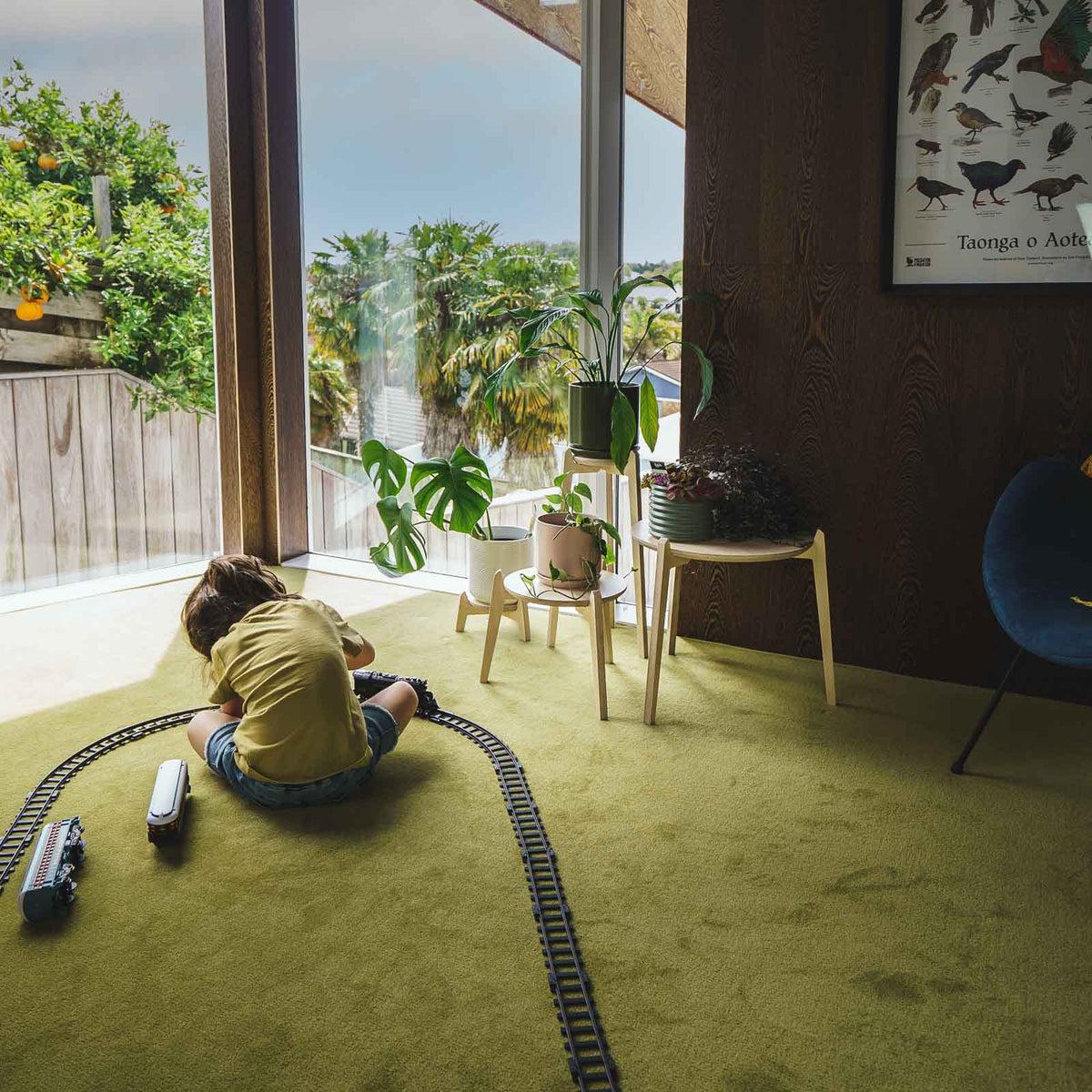 WFH Desk’s 5 Favorite Office Plants and How to Keep Them Thriving: A B ...